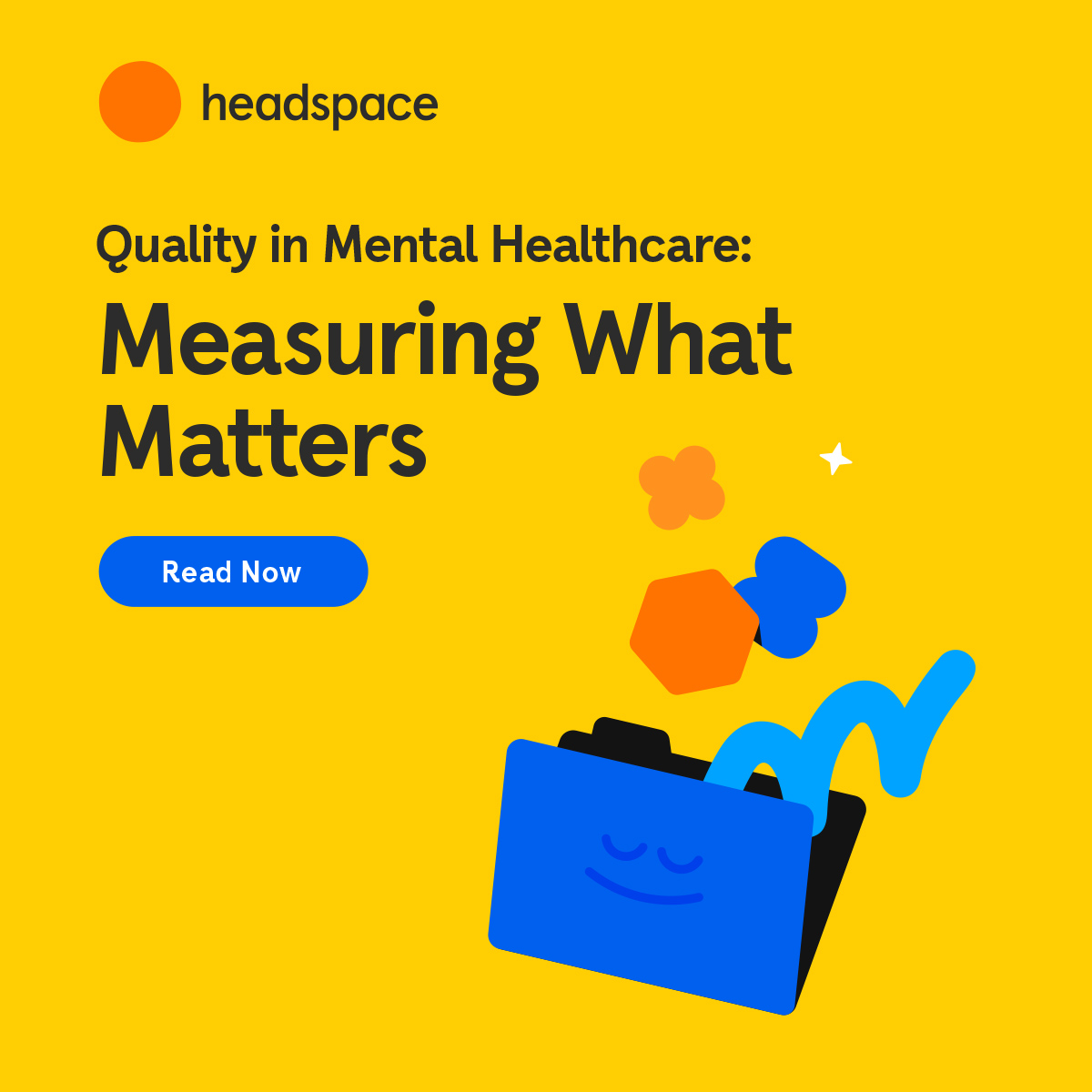 Report – Quality in Mental Healthcare: Measuring What Matters